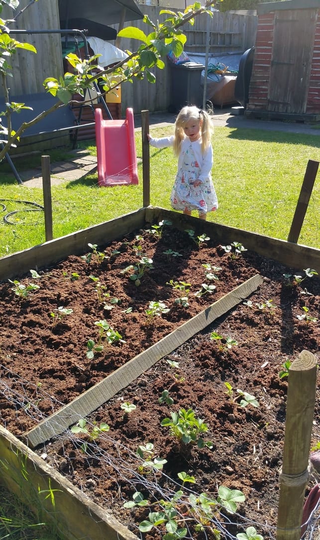 Gardening in Boxes: Growing Fruits and Vegetables | CR Vitality