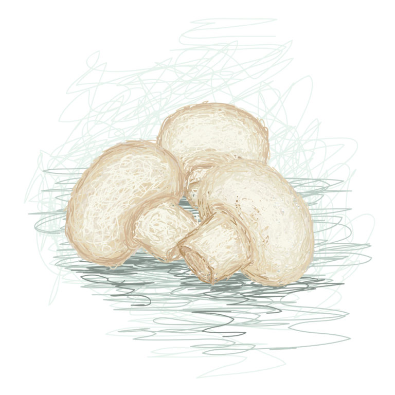 Best AHCC Supplement: Clinically Tested & Highest Quality | CR Vitality